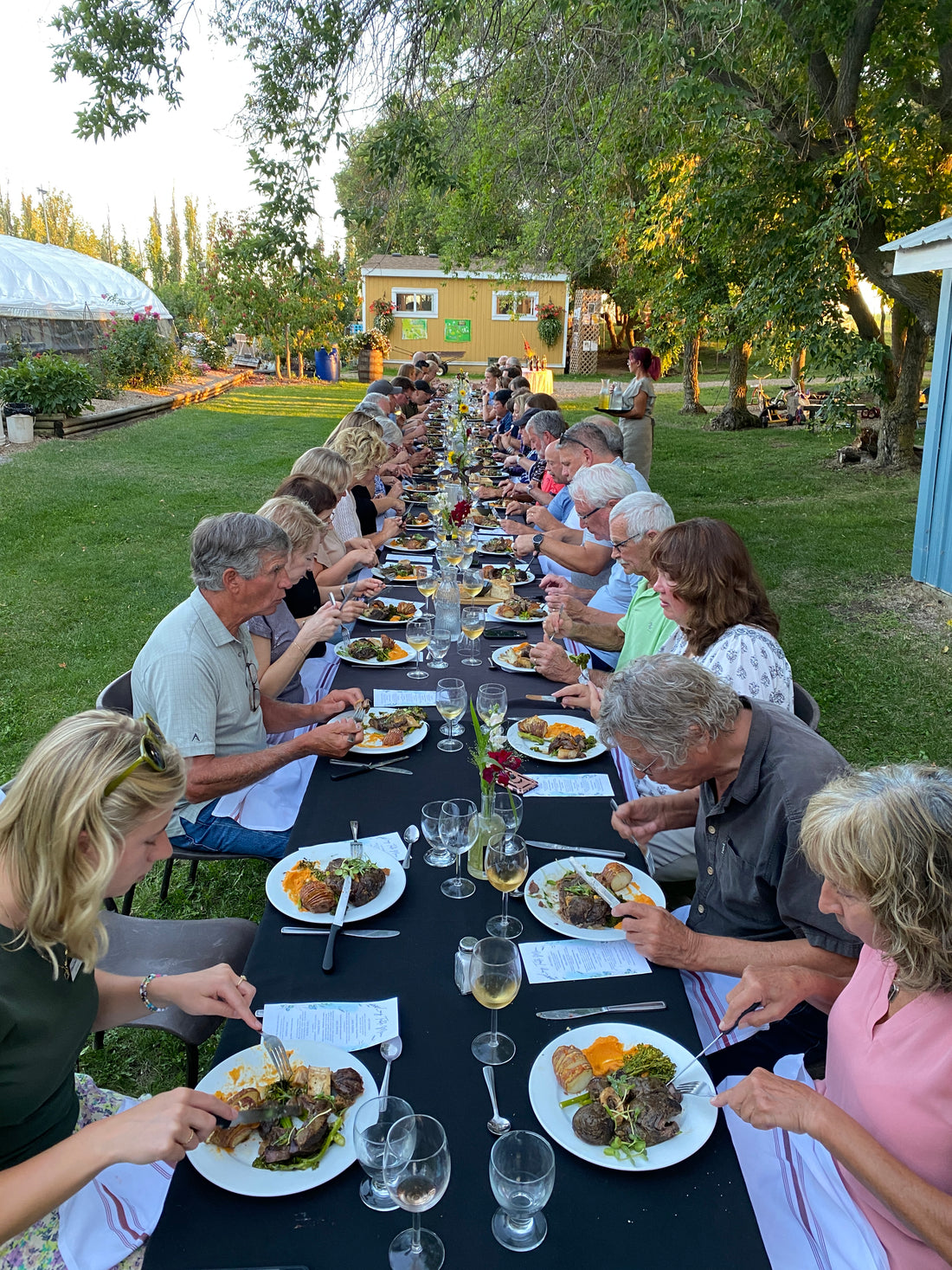 Long Table Dinner – DNA Gardens